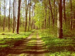 Bunch of Norwegian poems #2. – againorway