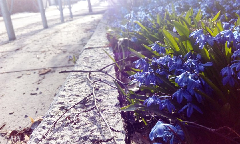 Bunch of Norwegian poems #2. – againorway